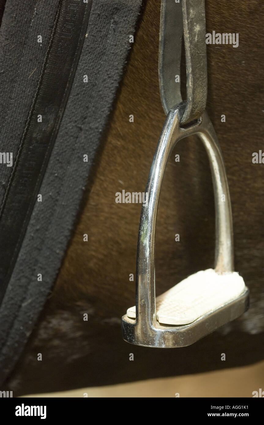 Stirrup of a horse Stock Photo - Alamy