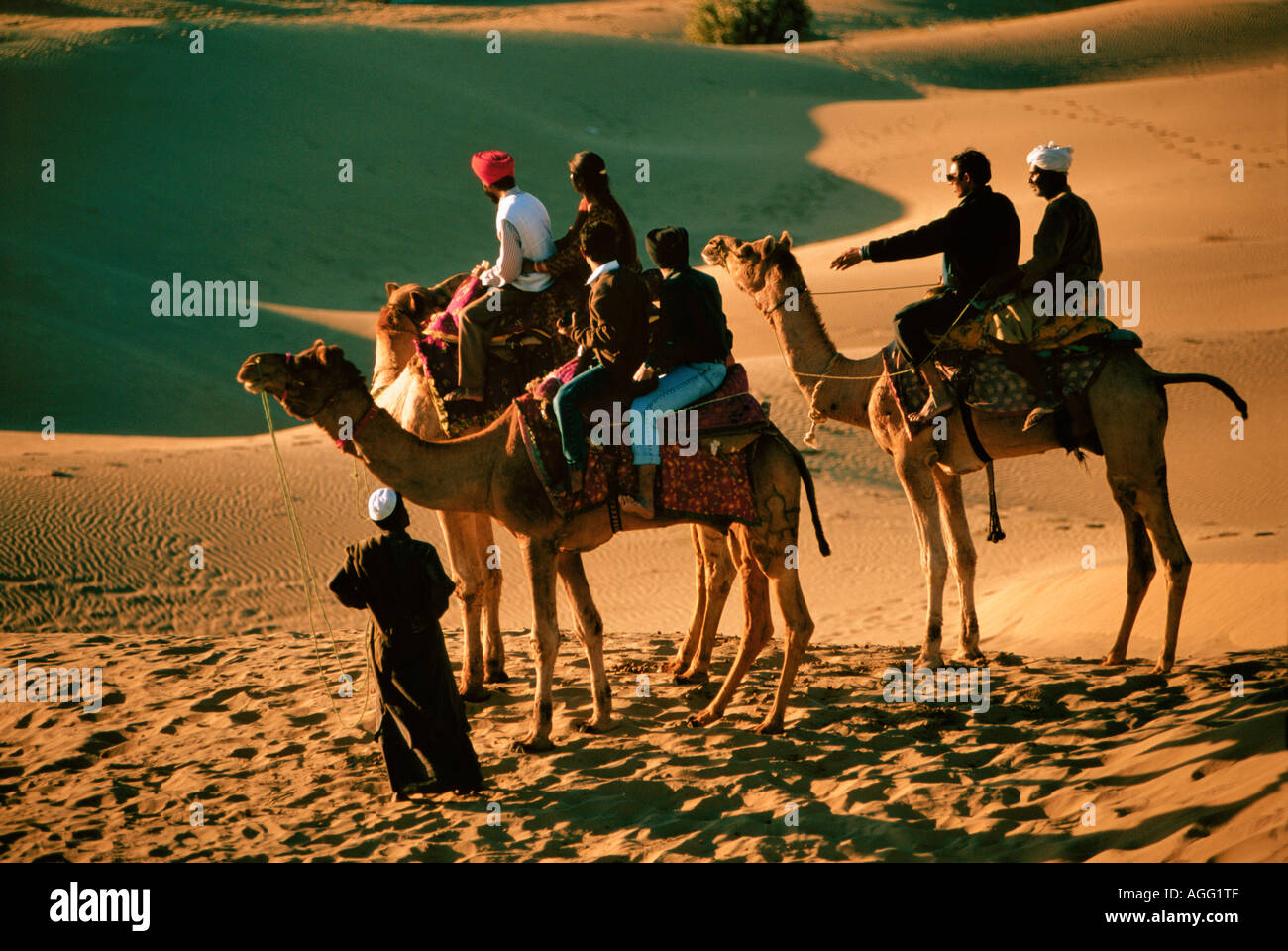 Camel safari, Sam desert, Rajasthan, India Stock Photo - Alamy