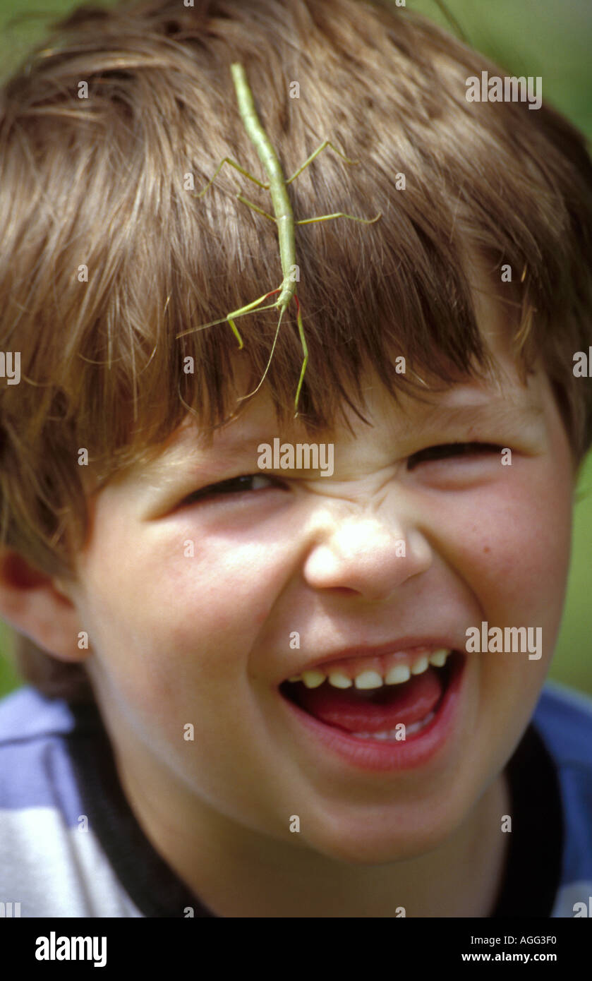 Vertical close up portrait of smiling little boy with stick insect on ...