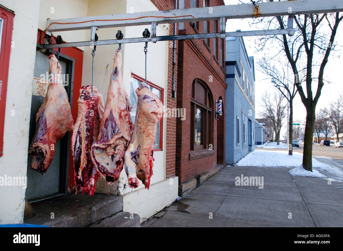 Fresh sides of beef wait in the cold outside a small town butchers shop ...