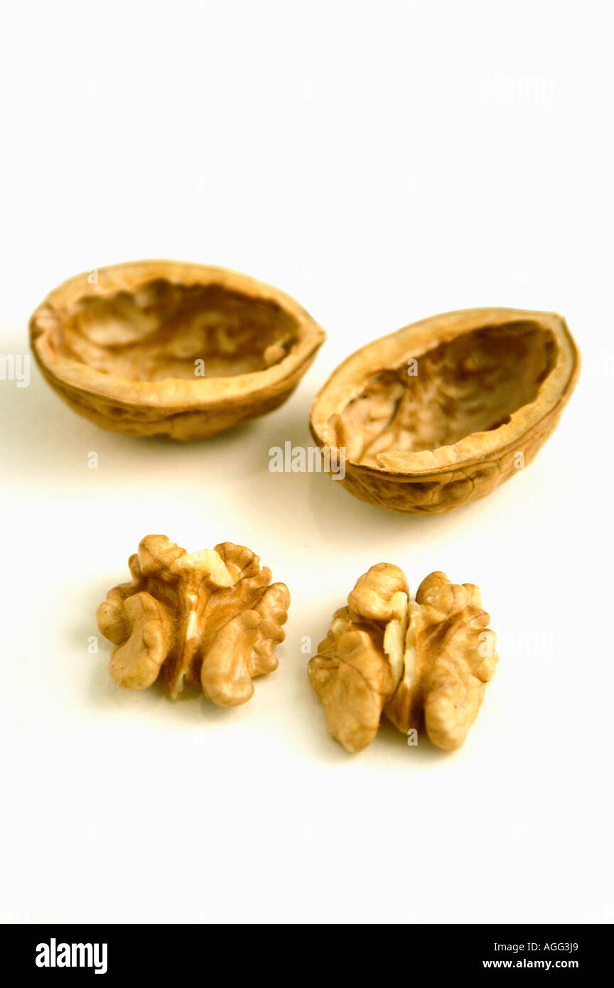 isolated walnut symbolizing the brain and scull Stock Photo - Alamy