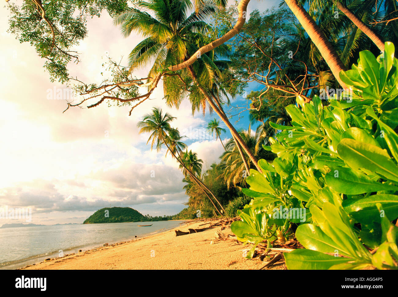 Alone desolate island hi-res stock photography and images - Alamy