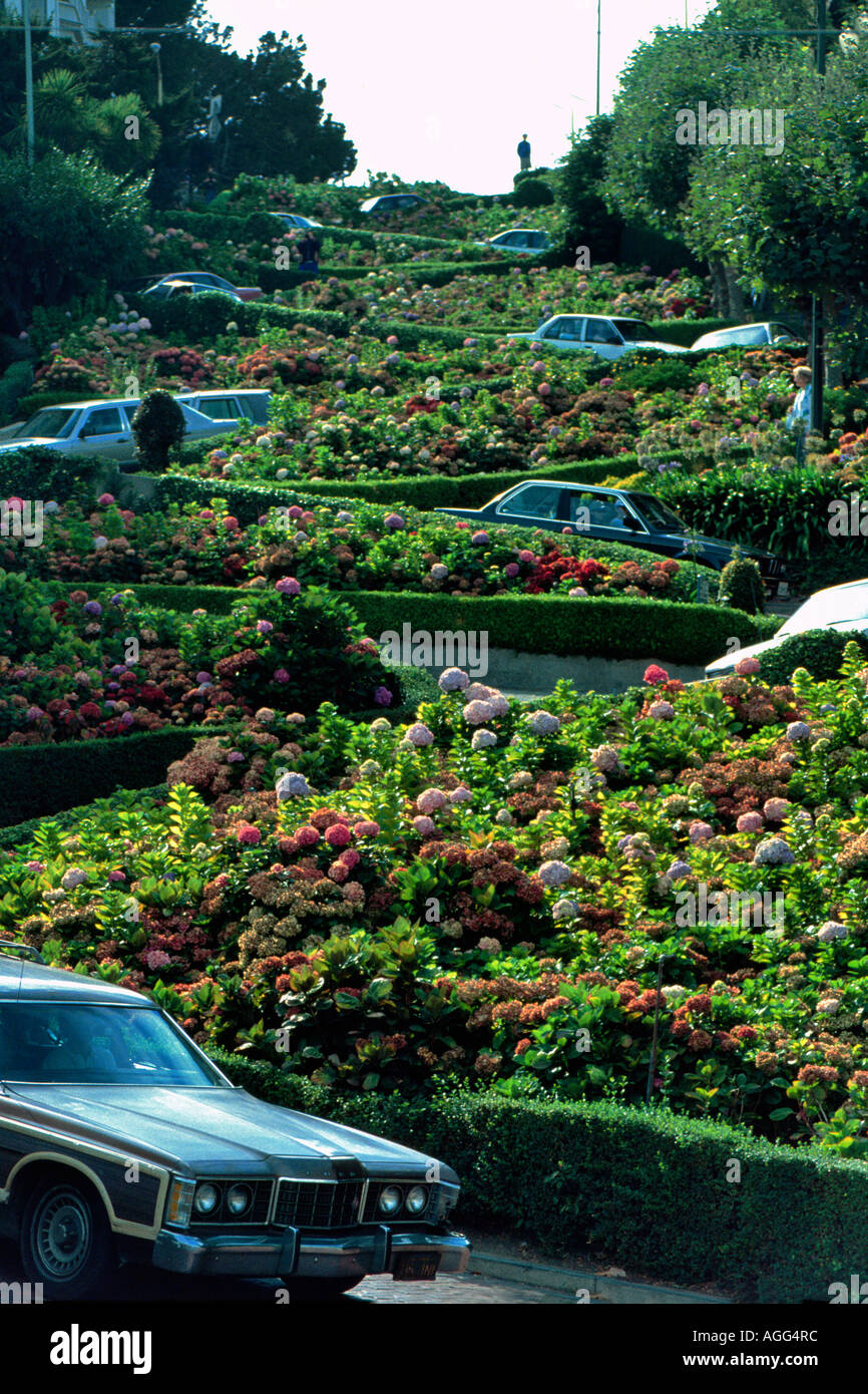 Zick zack hi-res stock photography and images - Alamy