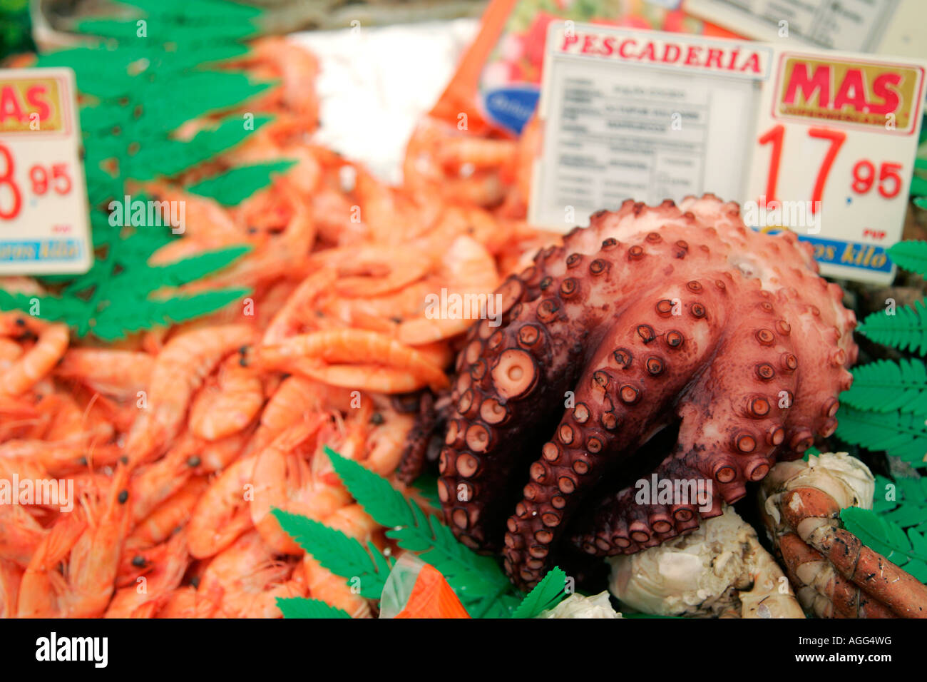shrimp octopus seafood octopos Stock Photo - Alamy