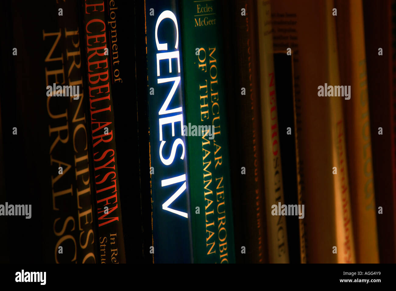 scientific literature/dictionaries in a bookshelf Stock Photo - Alamy