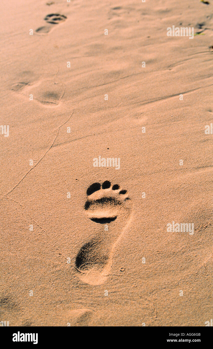 Homo sapiens sapiens australia hi-res stock photography and images - Alamy
