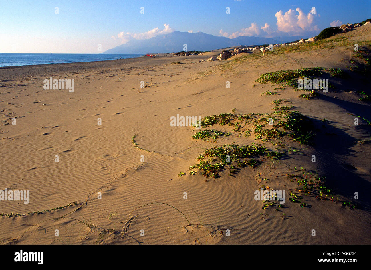 Stretch while at beach hi-res stock photography and images - Alamy