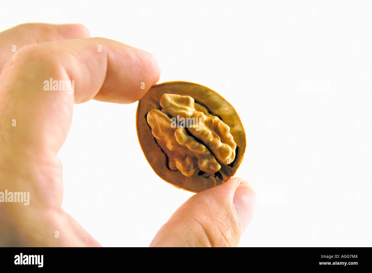 Walnut brain hi-res stock photography and images - Alamy