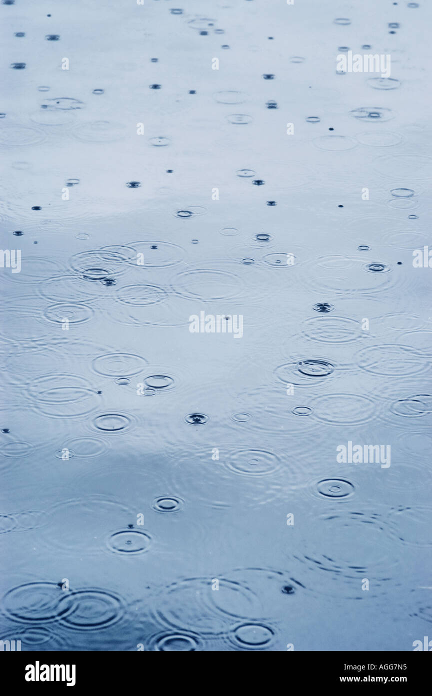 raindrops hitting water surface and creating ripples Stock Photo - Alamy