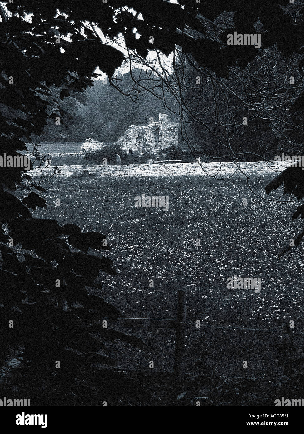 St Mary's Church, Brignall Stock Photo - Alamy