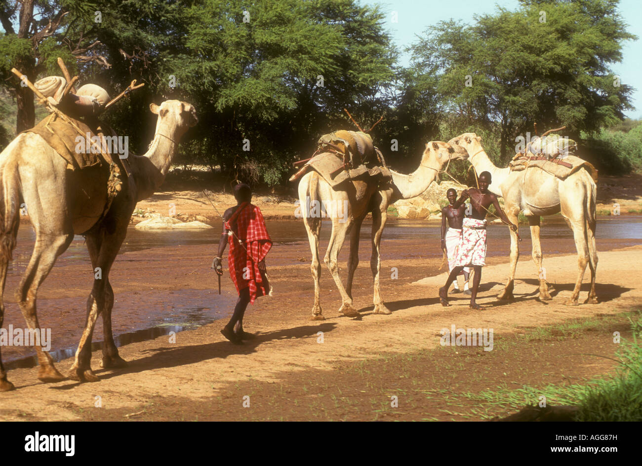 Samburu men in Kenya Stock Photo - Alamy