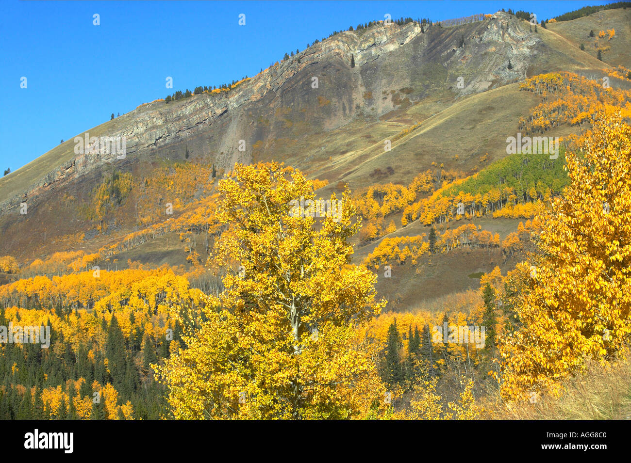 Southern alberta hill hi-res stock photography and images - Alamy