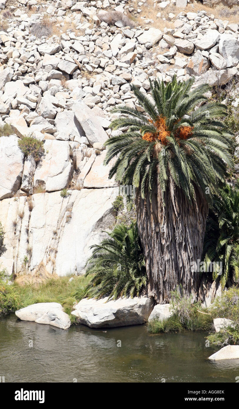 The Kern River Canyon Stock Photo - Alamy