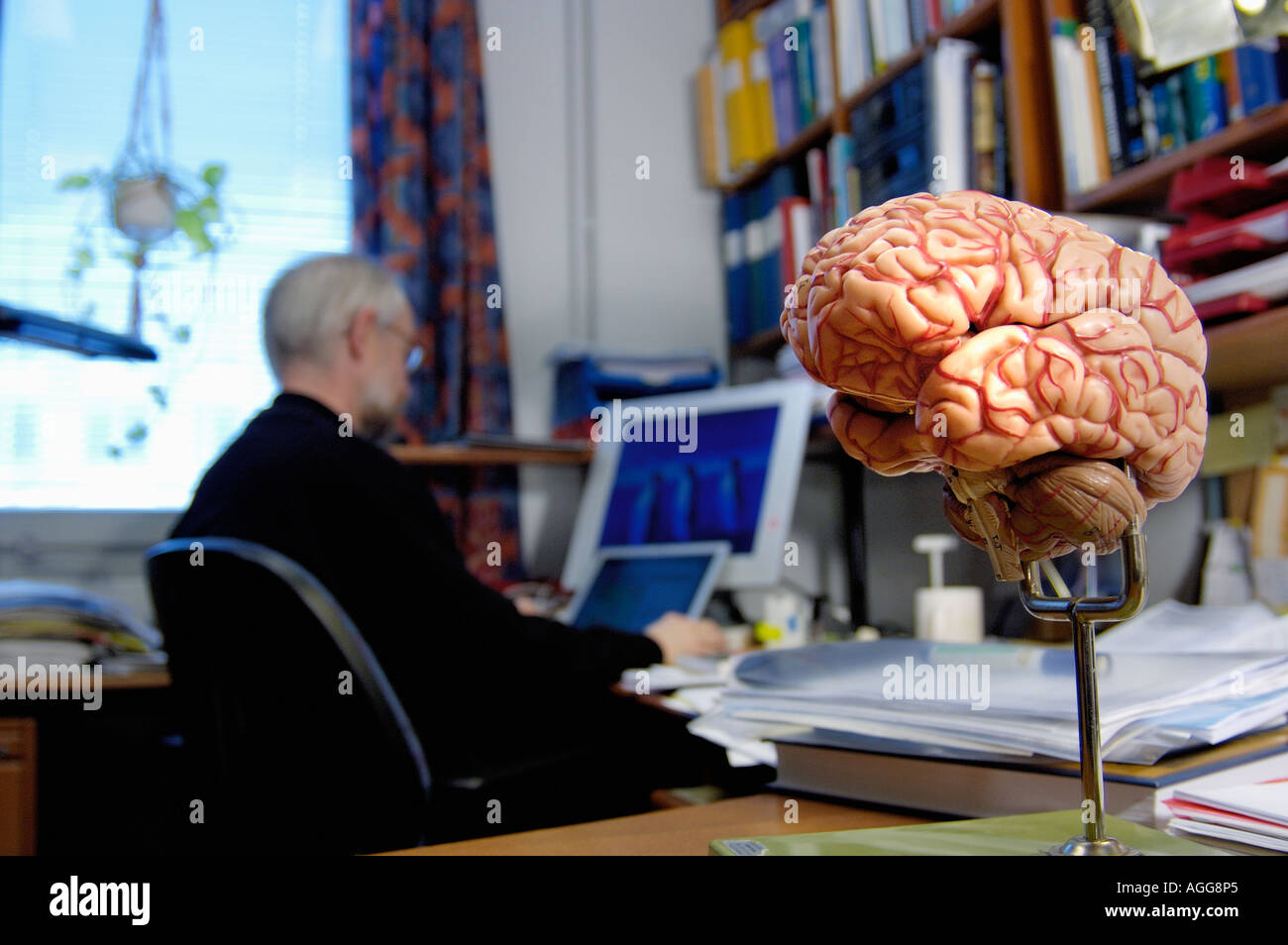 model of human brain and professor conducting research Stock Photo - Alamy