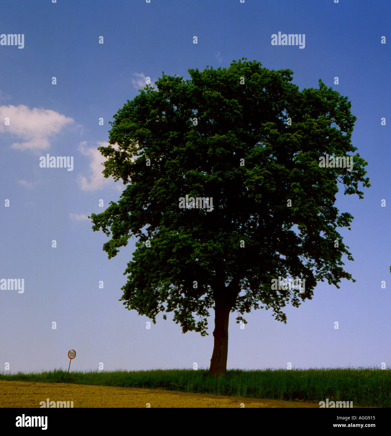 4 seasons in 1 photo hi-res stock photography and images - Alamy