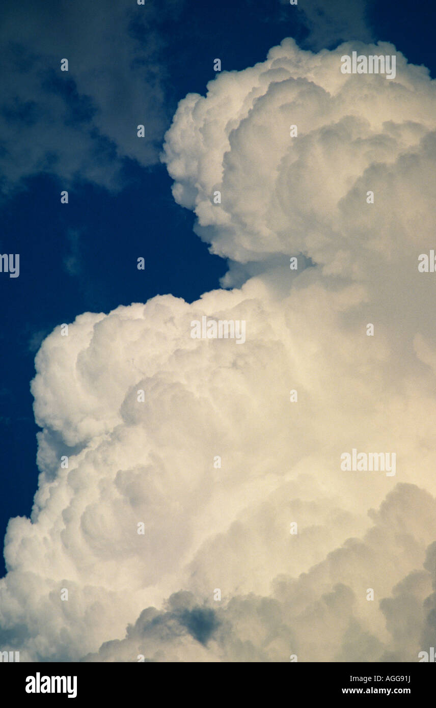 Cumulus cells hi-res stock photography and images - Alamy