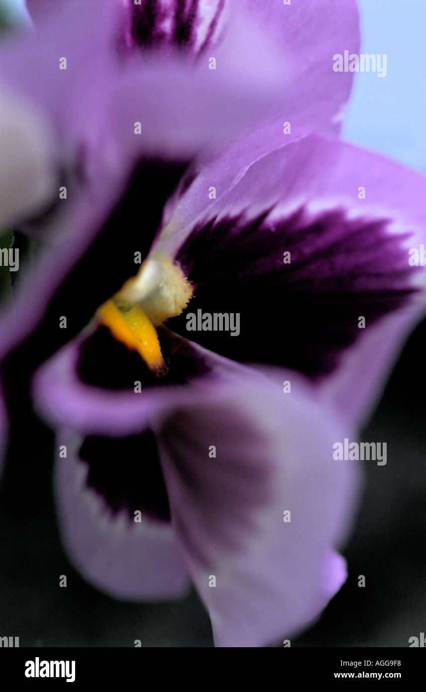 Side view mmc hi-res stock photography and images - Alamy