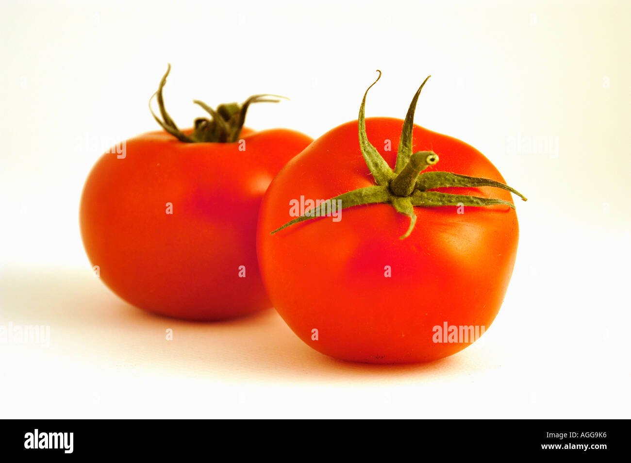 Genemodified hi-res stock photography and images - Alamy