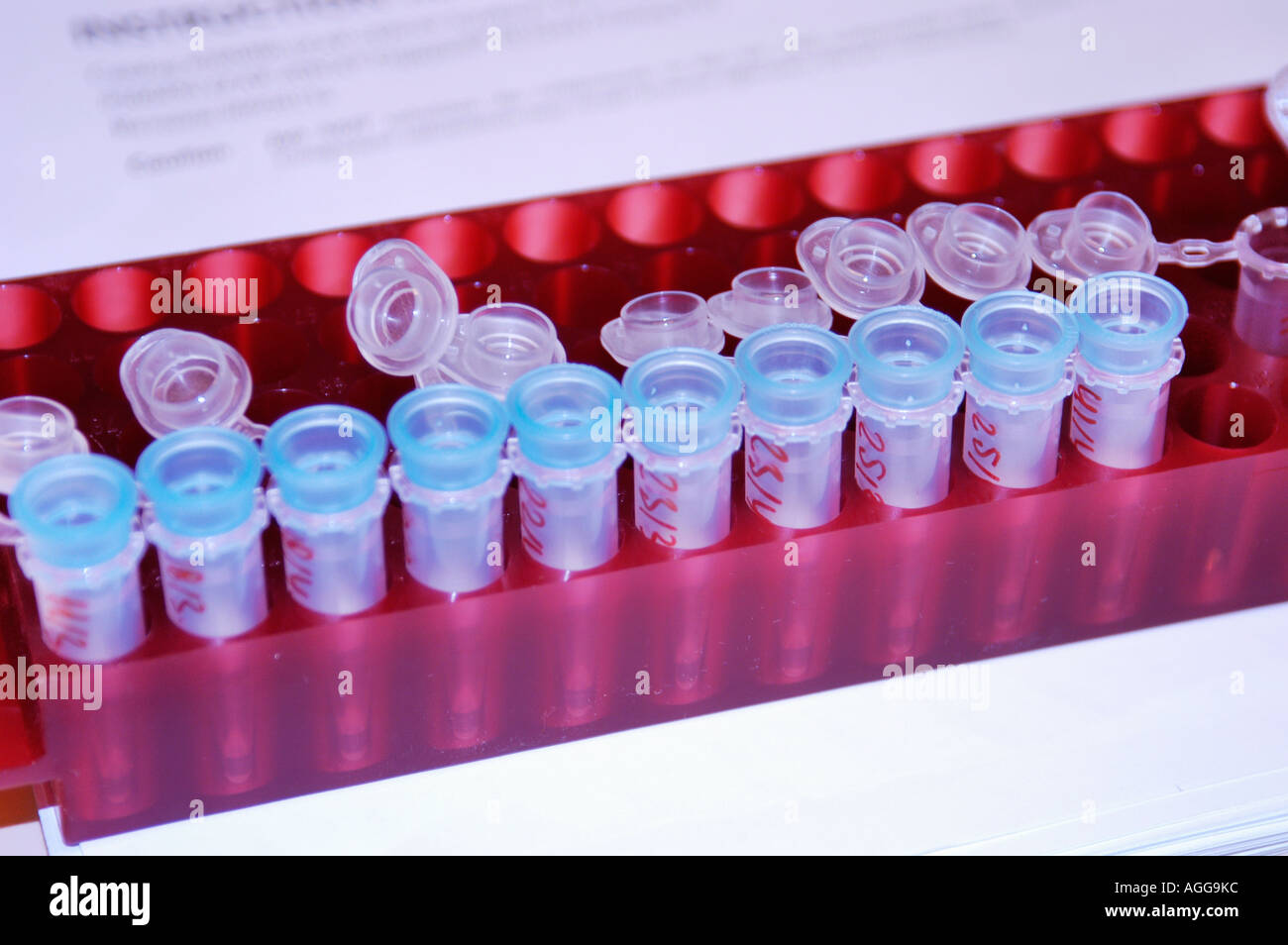 samples containing genetically modified / engineered material in ...