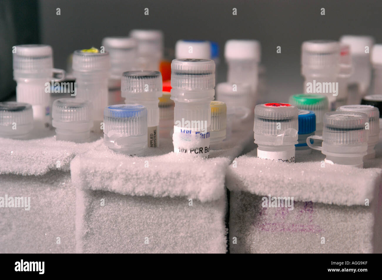 samples in freezer containing material for genetic modification ...