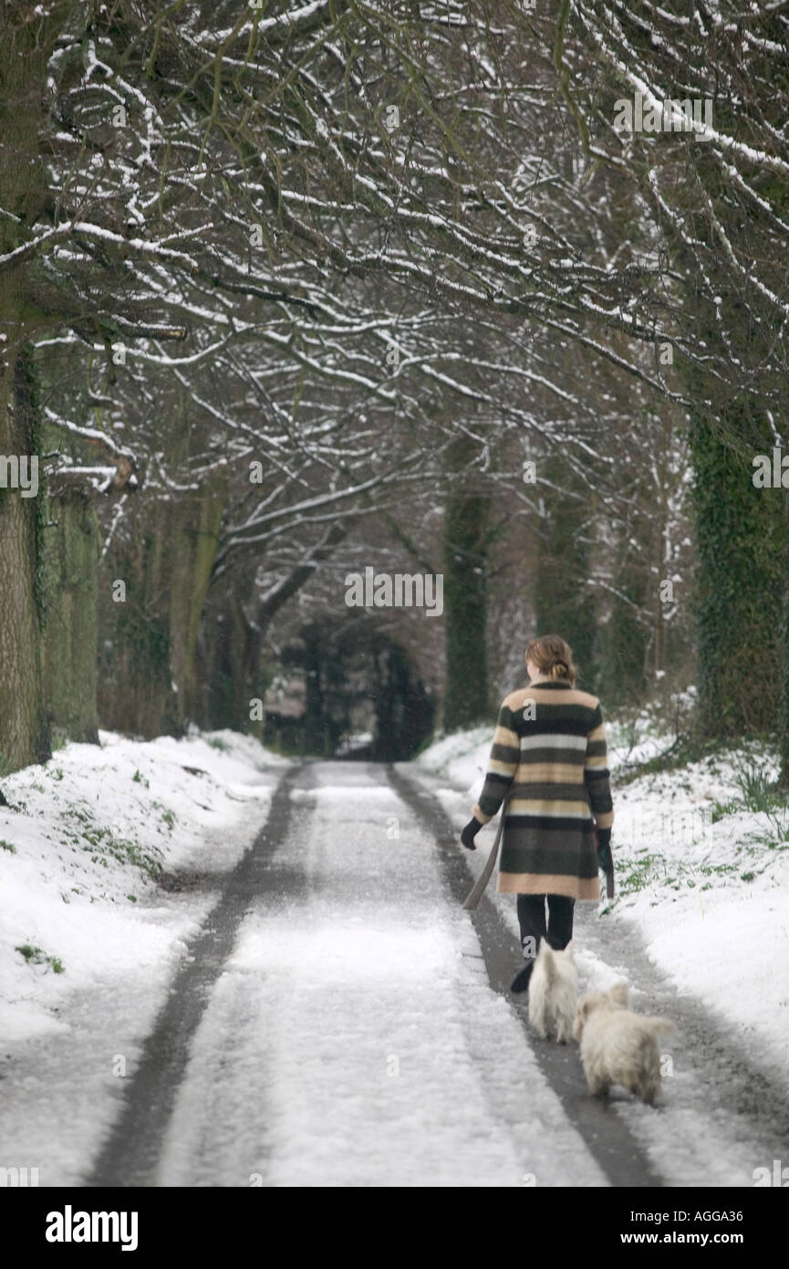 Jersey coast snow hi-res stock photography and images - Alamy