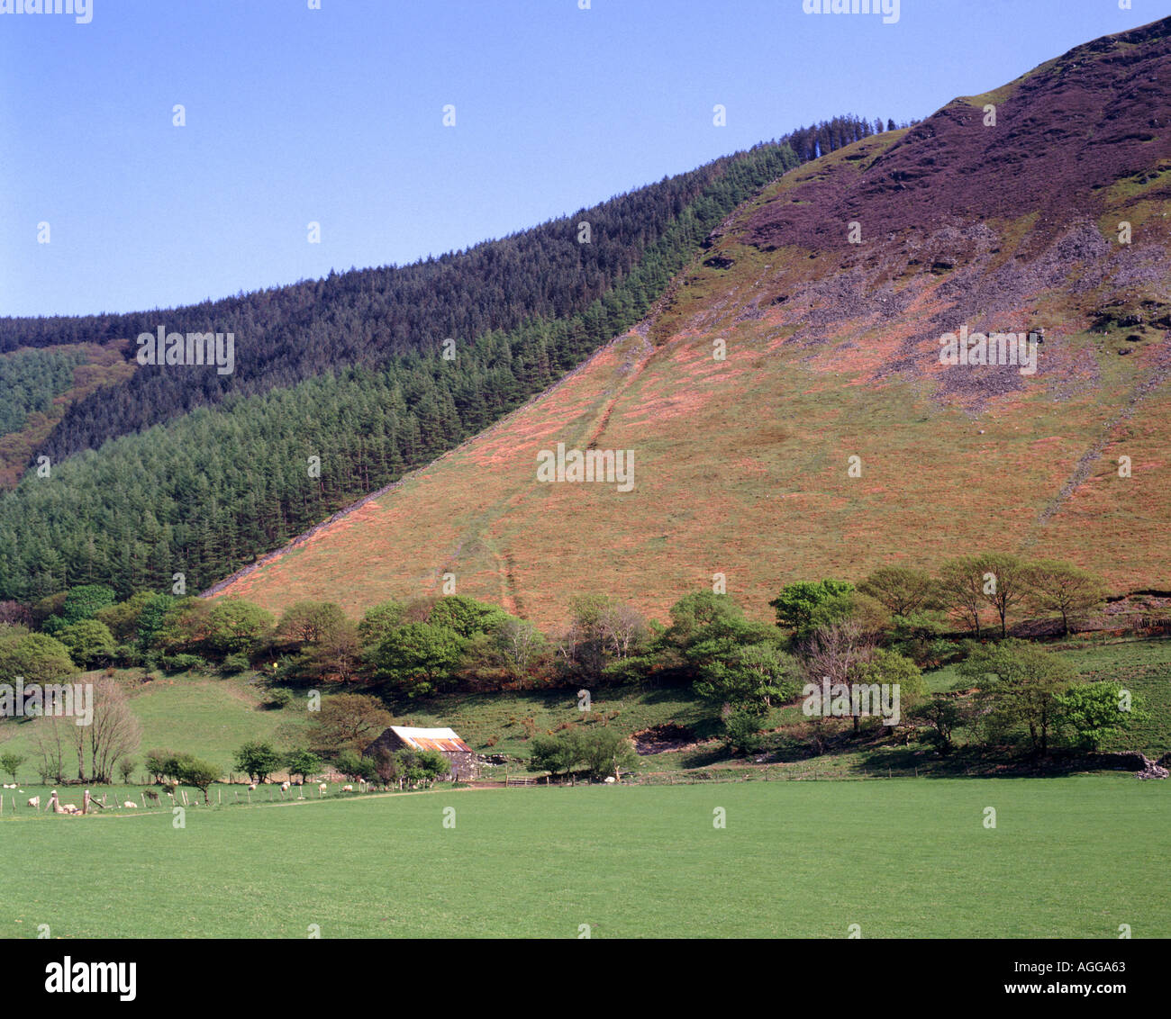The hendre hi-res stock photography and images - Alamy