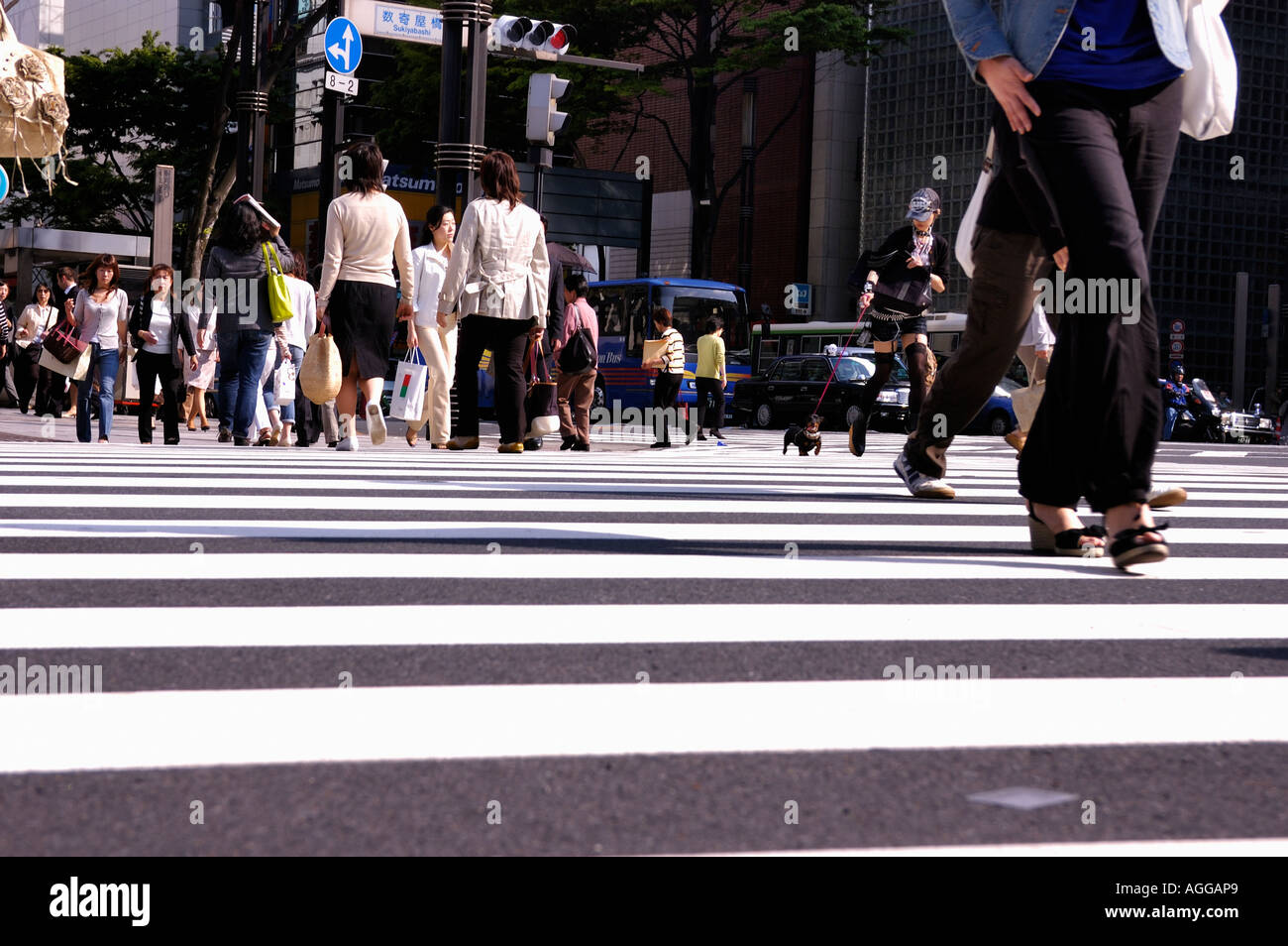 busy crosswalk, Ginza, Tokyo, Japan Stock Photo - Alamy