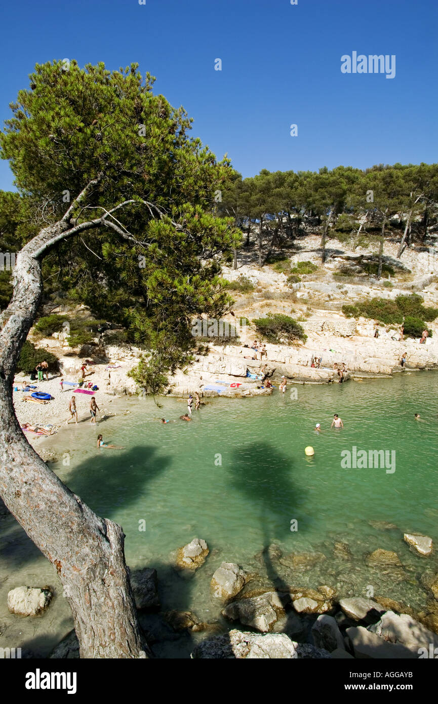 CALANQUE OF PORT-PIN, CASSIS, PROVENCE, FRANCE Stock Photo - Alamy