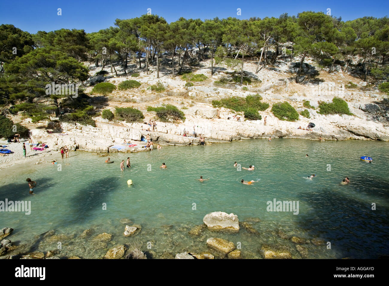 CALANQUE OF PORT-PIN, CASSIS, PROVENCE, FRANCE Stock Photo - Alamy