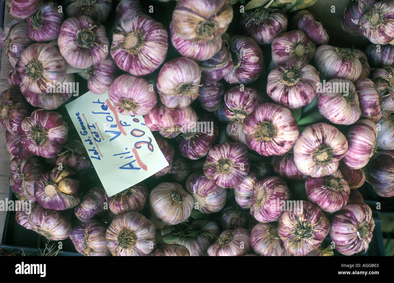 Garlic in French market Stock Photo - Alamy