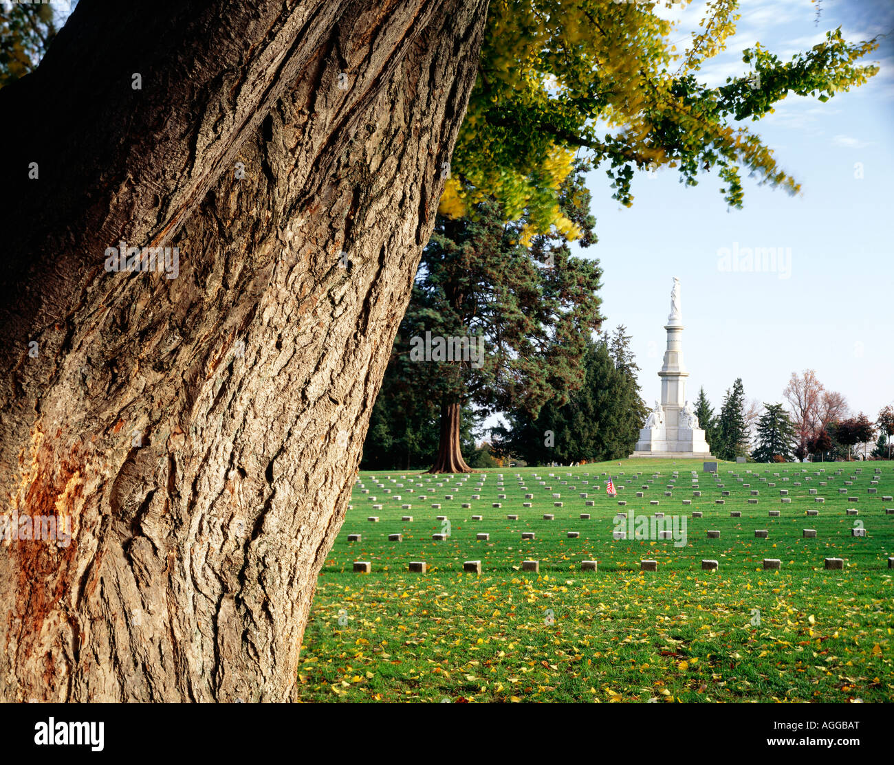 Ginko Tree At Soldiers' National Monument, Gettysburg National Cemetery ...