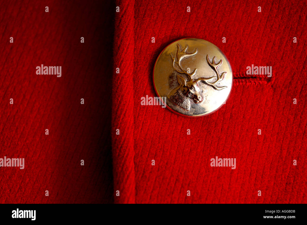 Generic hunting picture Stock Photo - Alamy