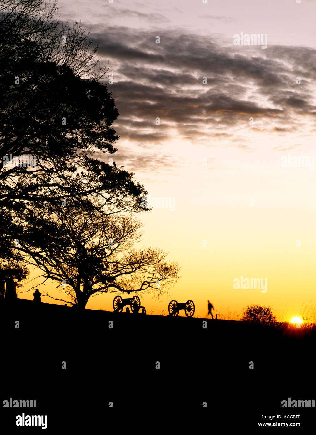 Cemetery Ridge & Copse Of Trees In Gettysburg National Military Park ...
