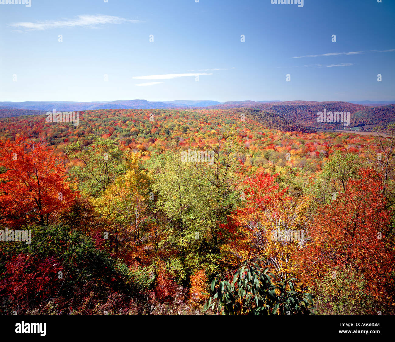 View West Of Fall Colors From High Knob Natural Area; High Knob Road ...