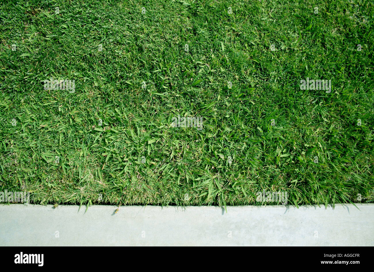 Green grass patch cut with cement curb bordering lower portion Stock ...