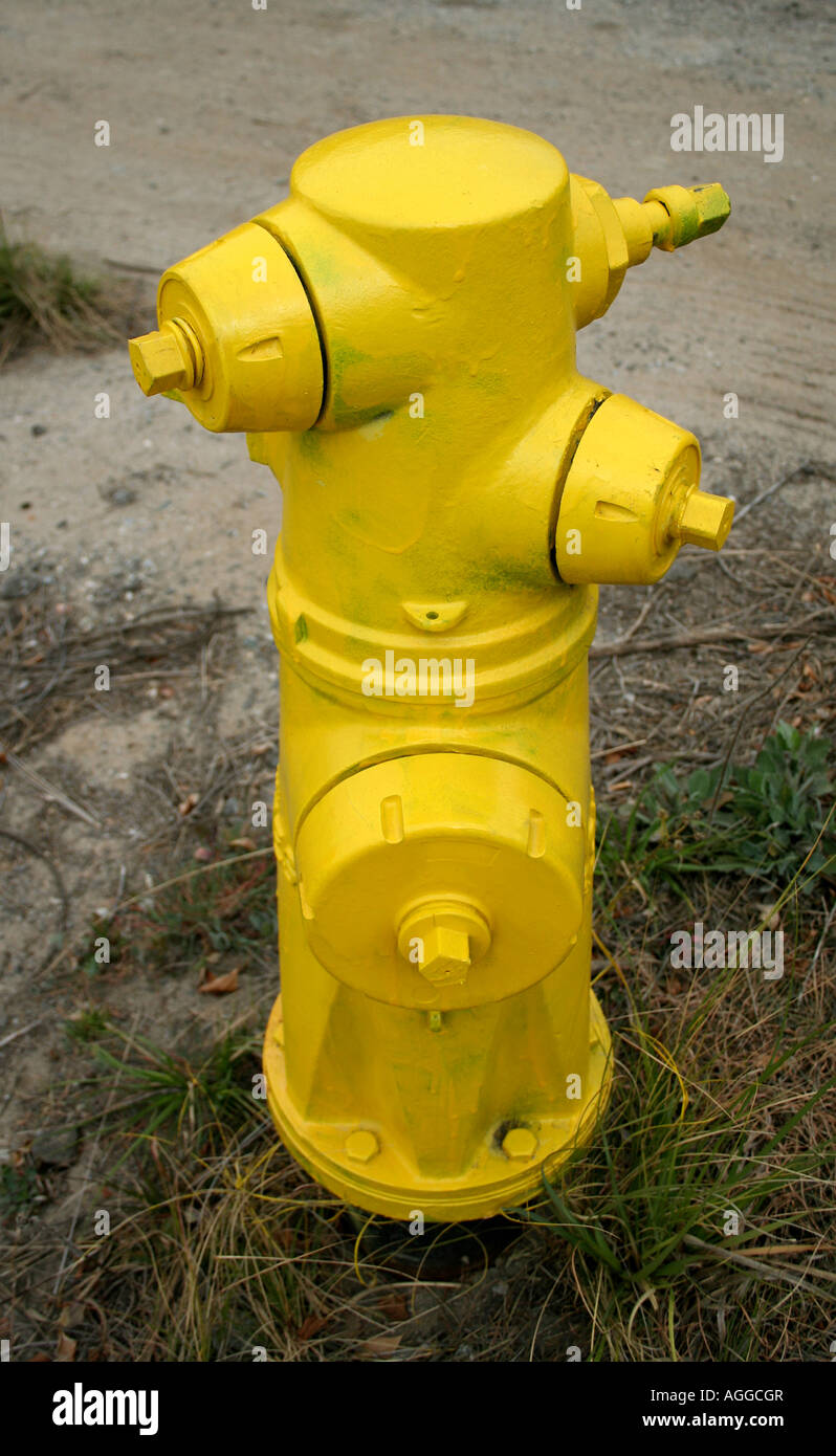 Yellow painted fire hydrant in grass and dirt Stock Photo - Alamy
