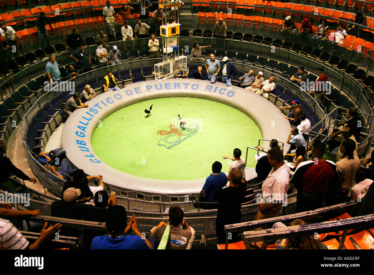 Cock Fighting ring in San Juan Puerto Rico Stock Photo - Alamy