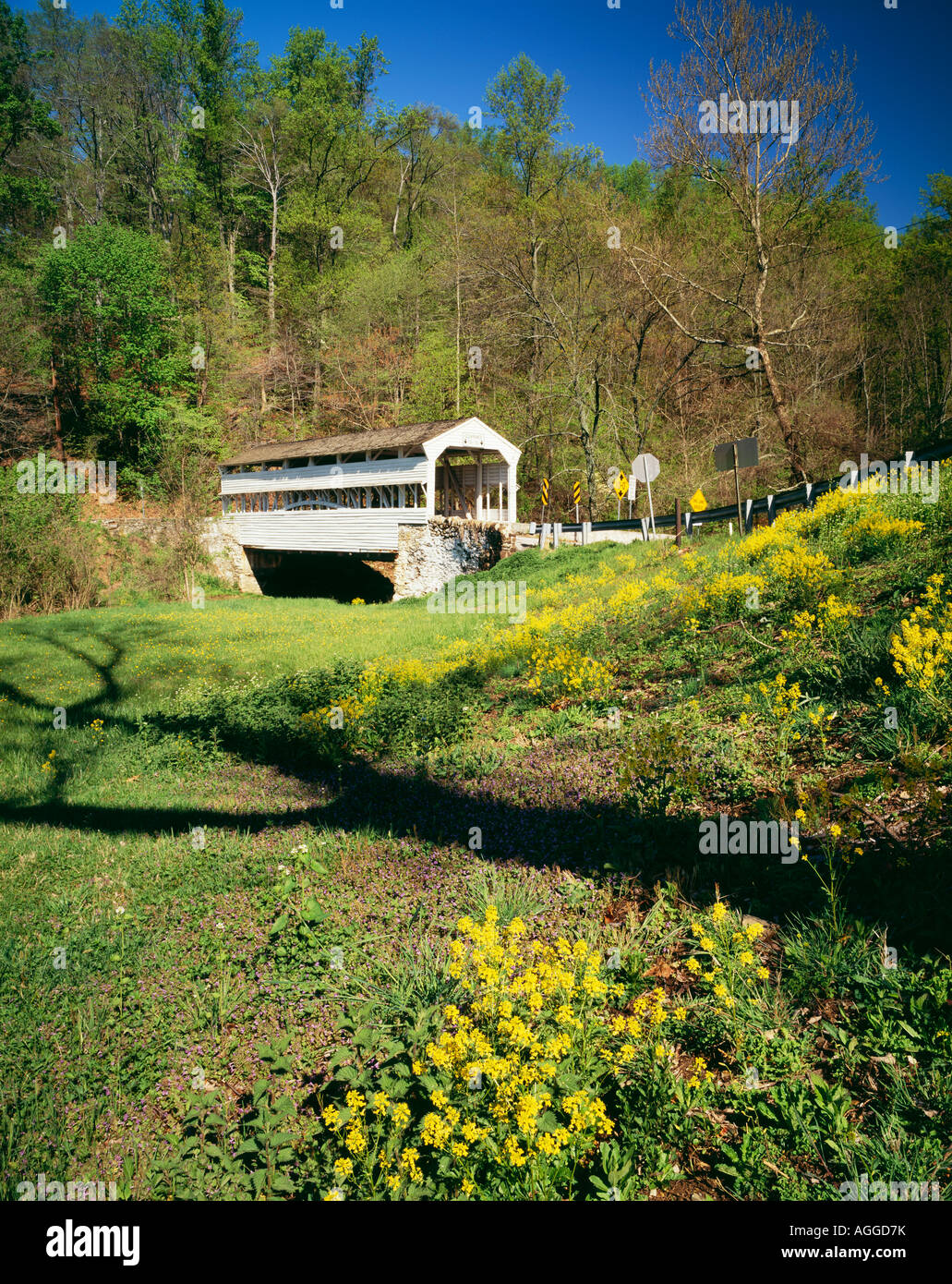 Chester creek hi-res stock photography and images - Alamy
