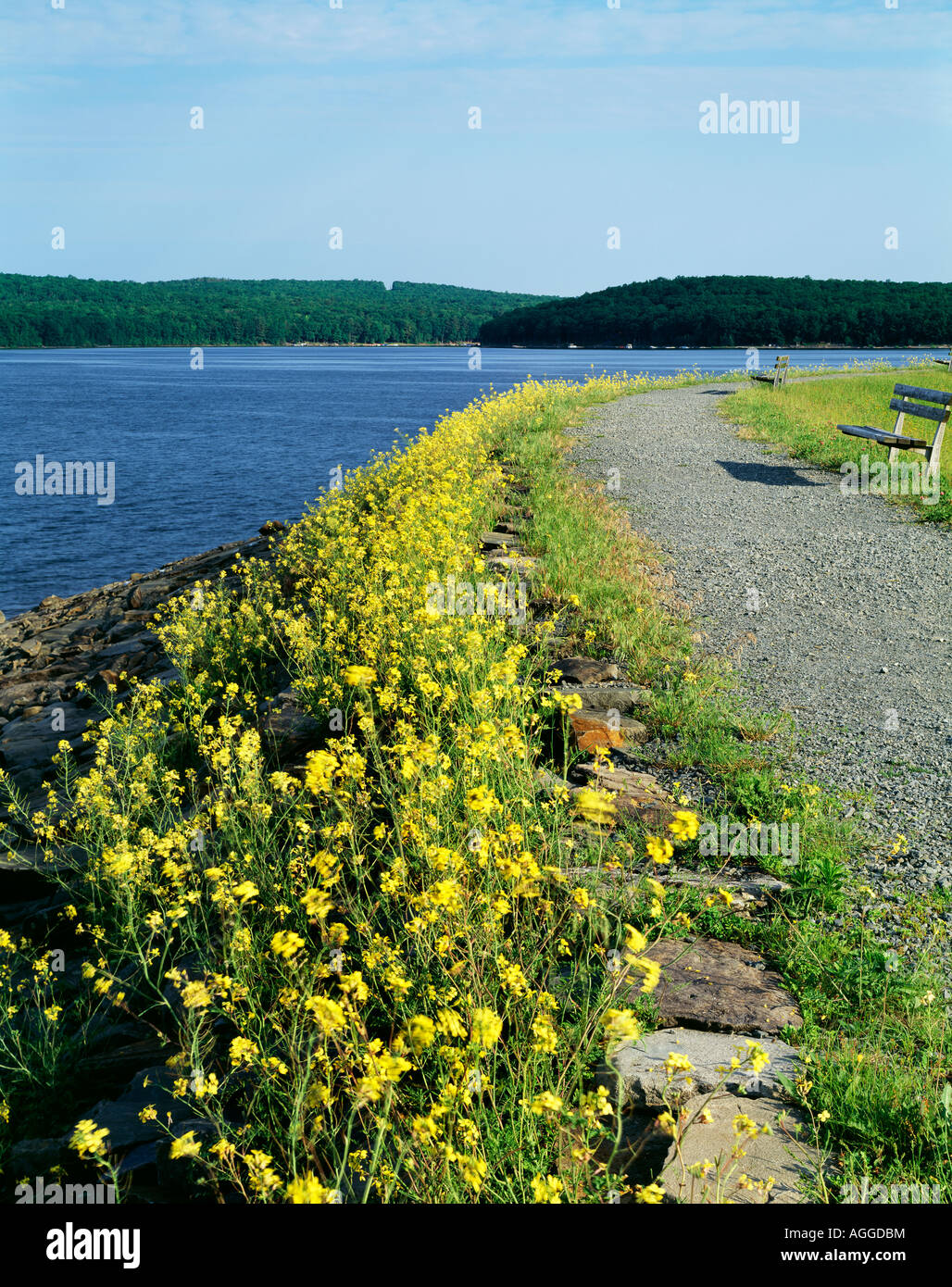 View From Tafton Dike By Lake Wallenpaupack In The Pocono Mountains ...