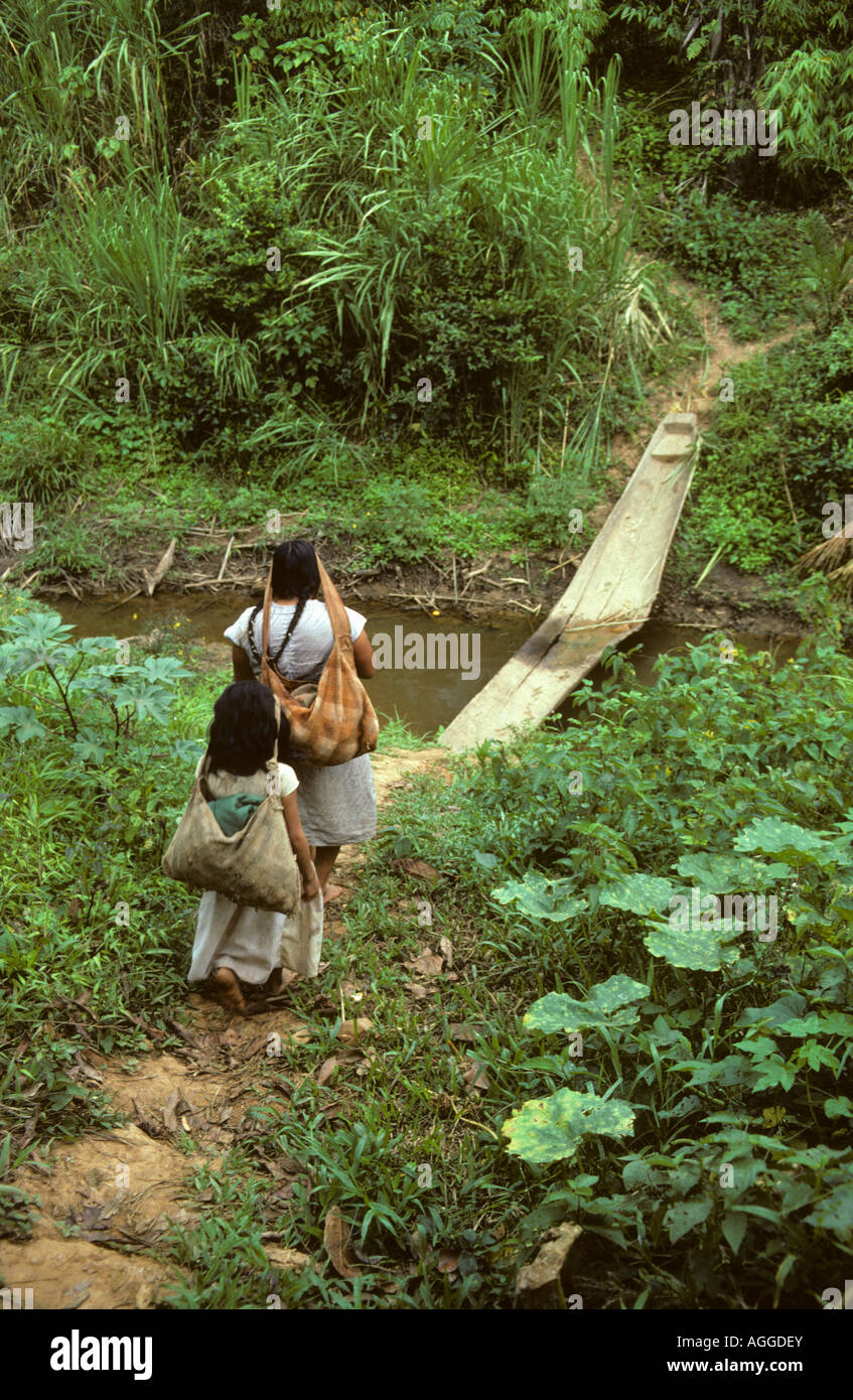 Bolivia, Reyes, Mother and daughter of Chimanes Tribe walking in forest ...