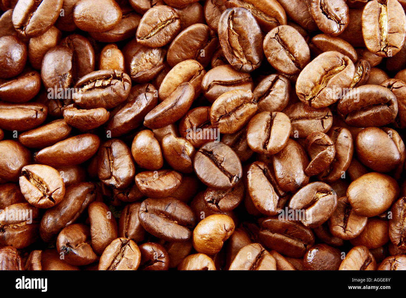 a layer of coffee beans Stock Photo - Alamy