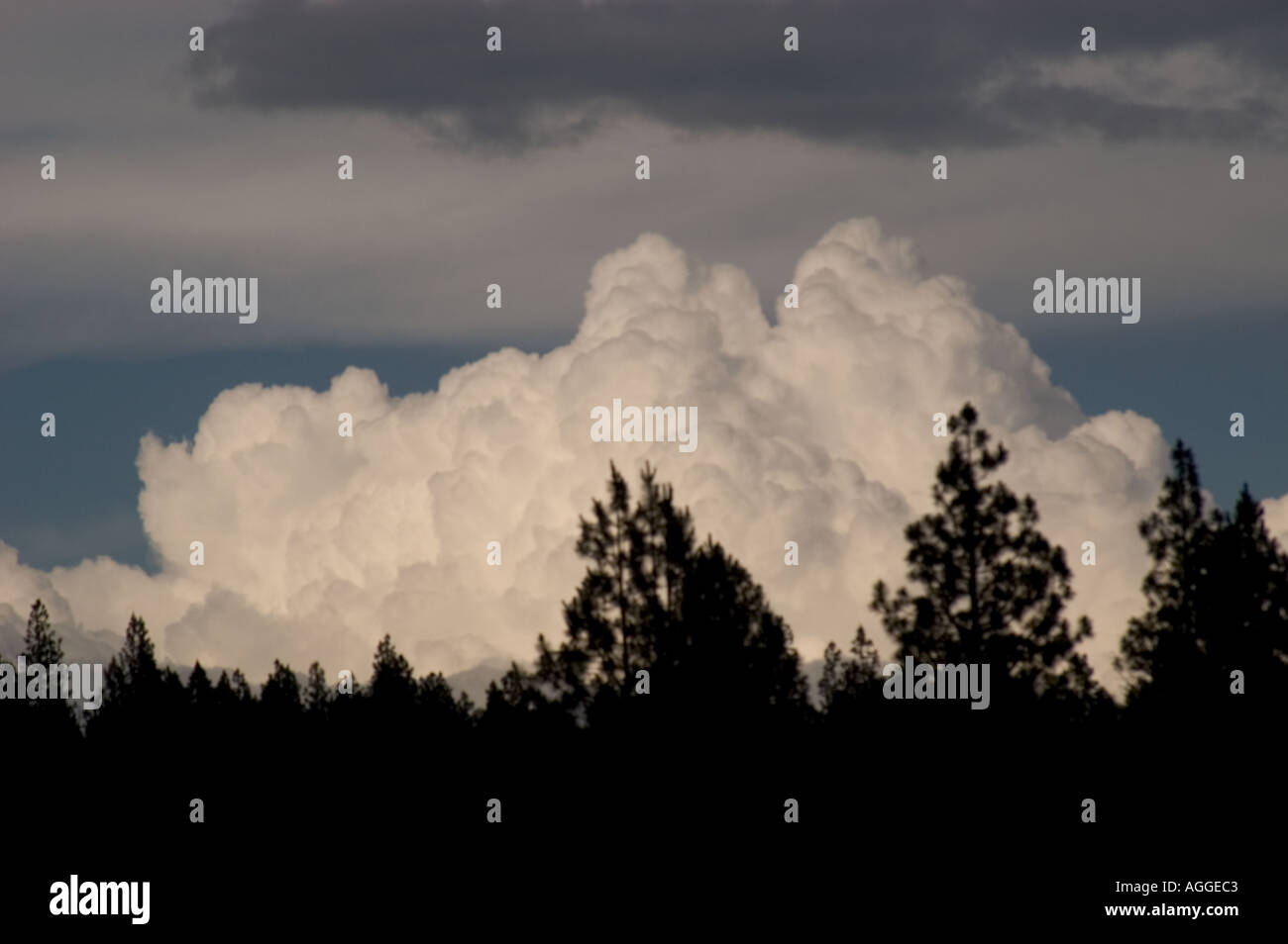 Cumulus clouds in southeast Oregon building during a thunder and ...