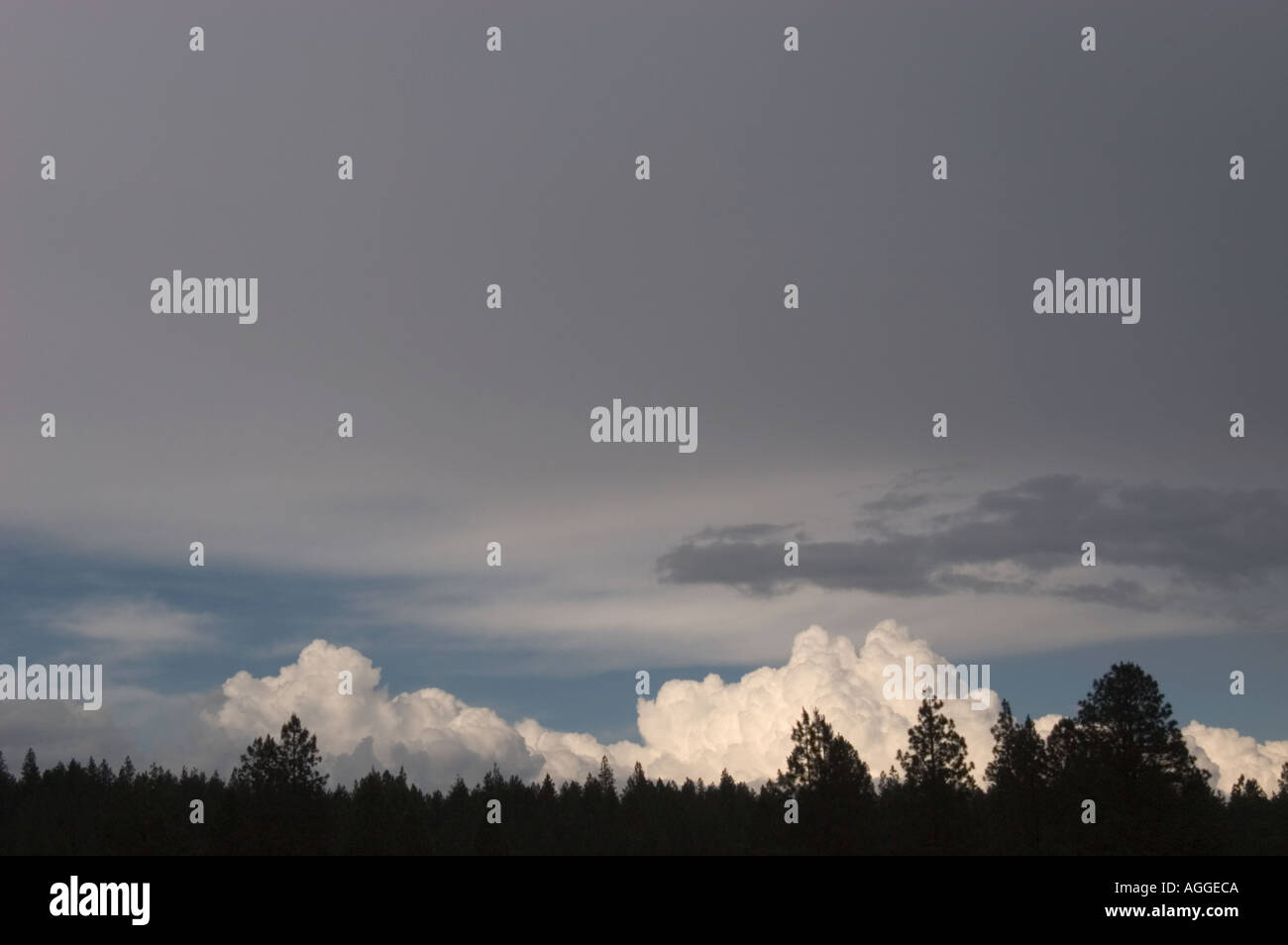 Cumulus clouds in southeast Oregon building during a thunder and ...
