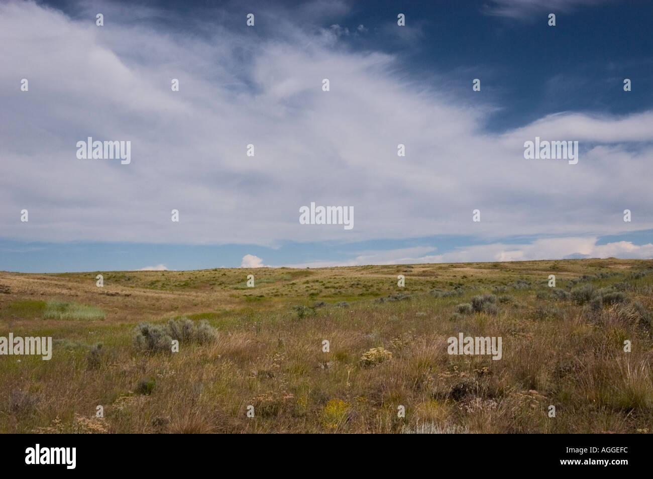 Sagebrush countryside in northeast Oregon Stock Photo - Alamy