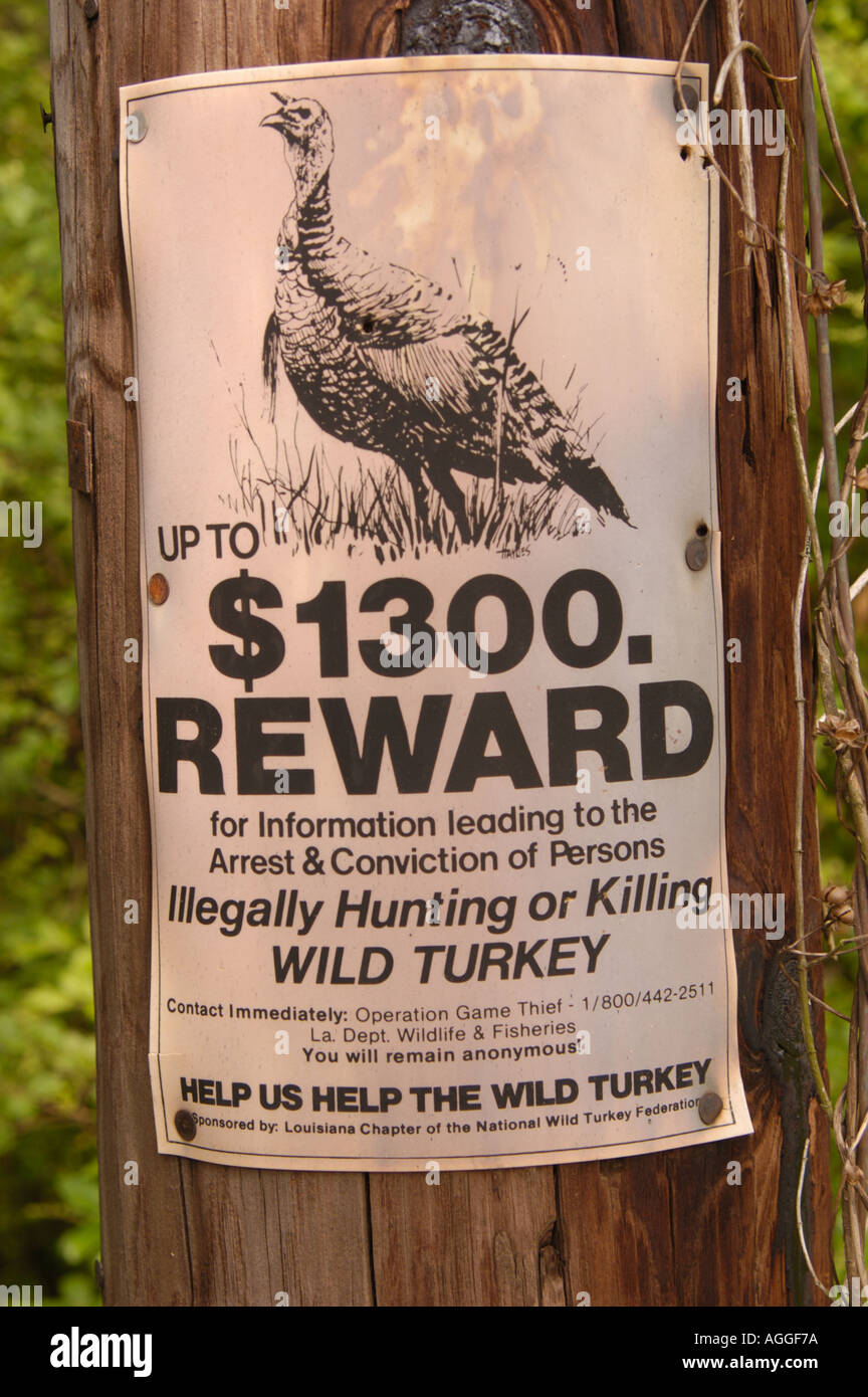 Poaching Sign Stock Photos & Poaching Sign Stock Images - Alamy