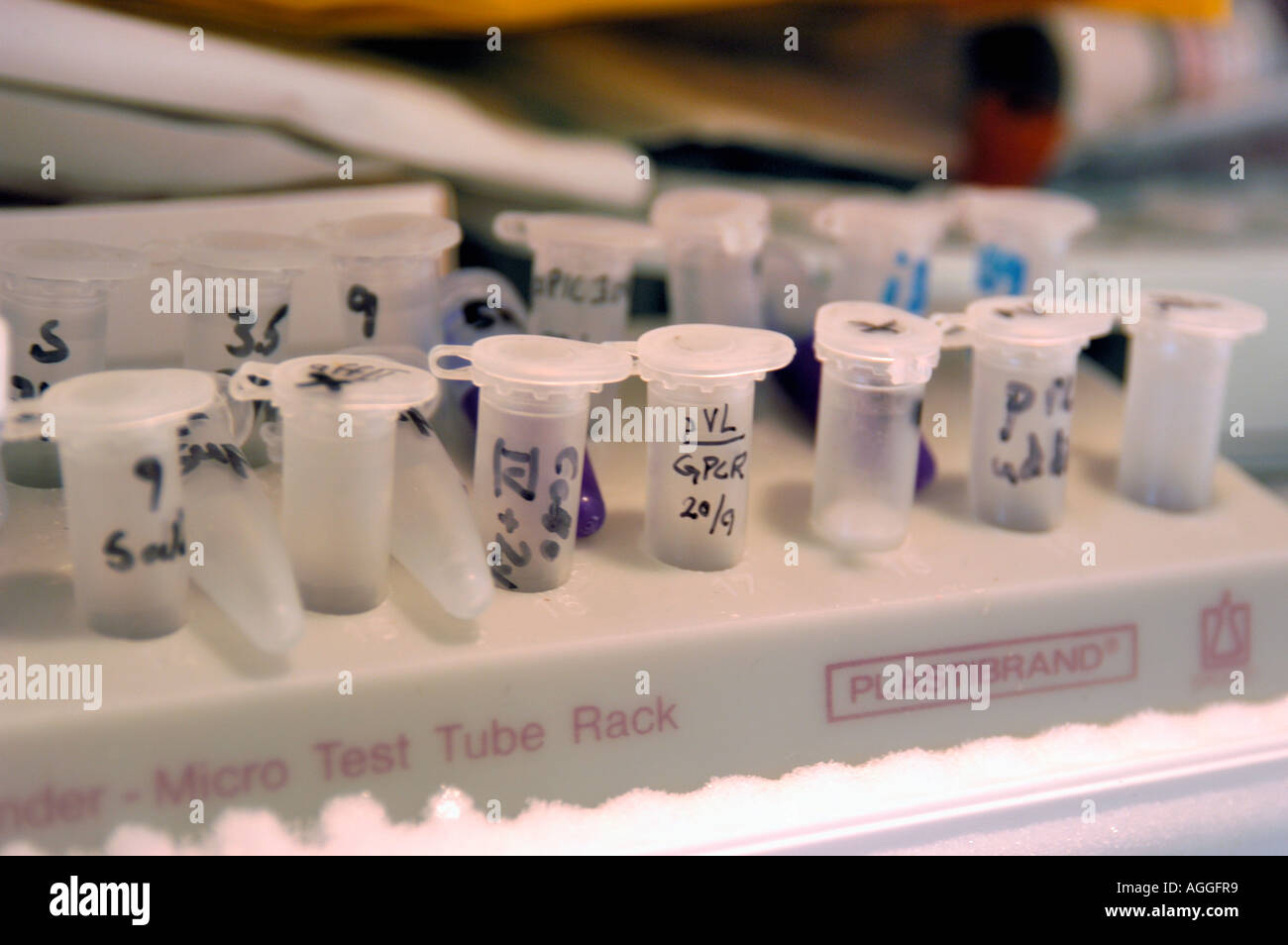 samples containing genetically modified / engineered material Stock ...