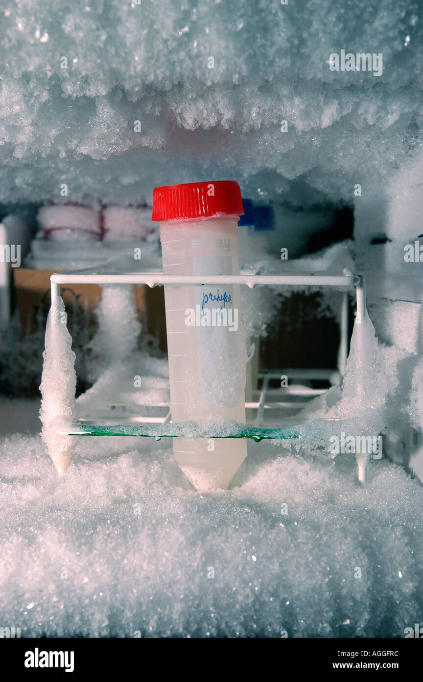 sample in freezer containing extracted DNA - used in molecular biology ...