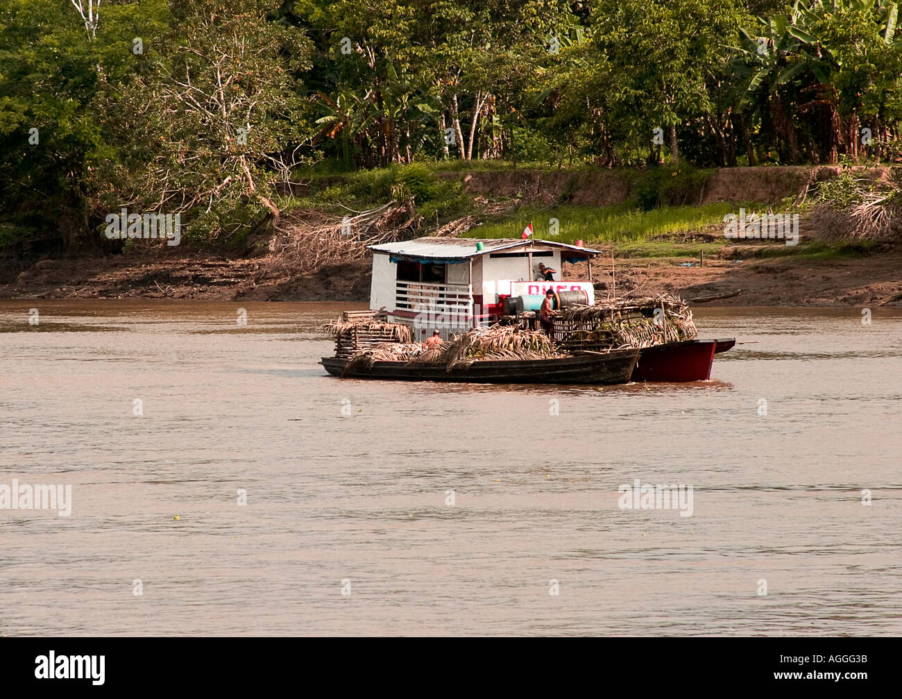 Amazon River Catamaran Transportaton Stock Photo - Alamy