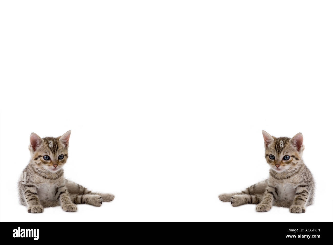 Left coat Cut Out Stock Images & Pictures - Alamy