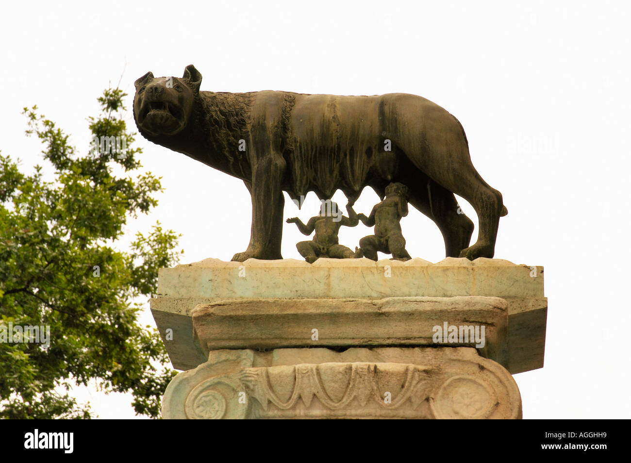 Wolf with the twins of Romulus and Remulus, Piazza del Campidiglio ...